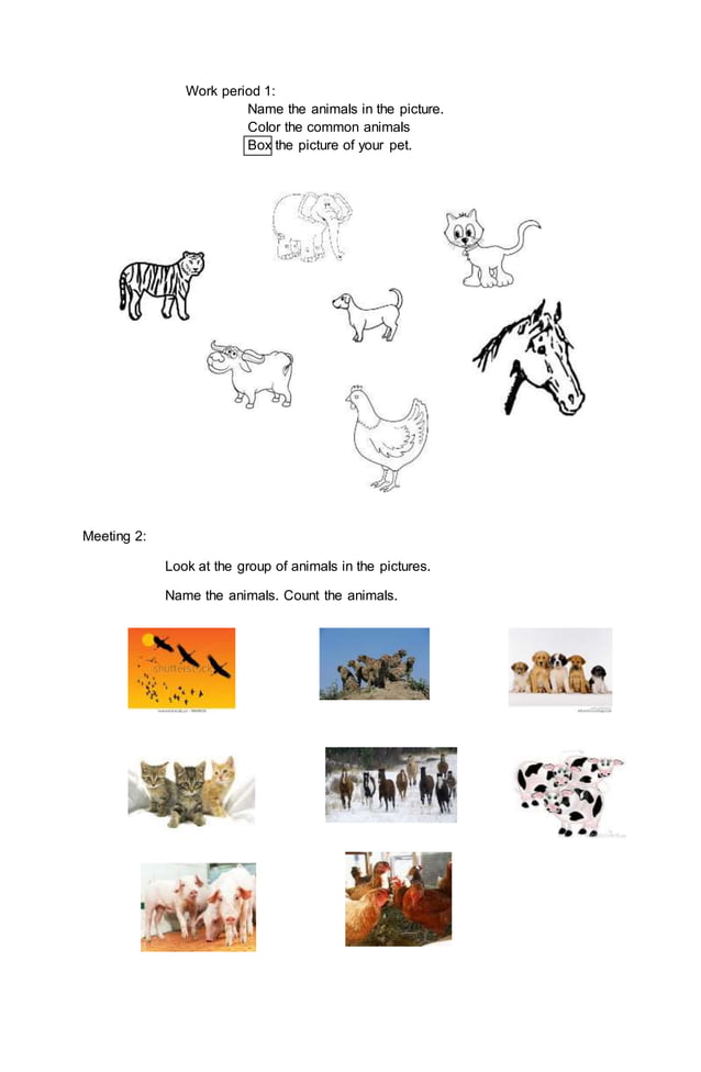 Psed 7 brain based lesson plan | DOCX