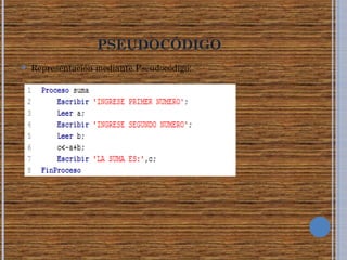 Pseint | PPT