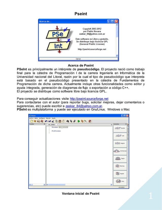 Pseint tutorial | PDF
