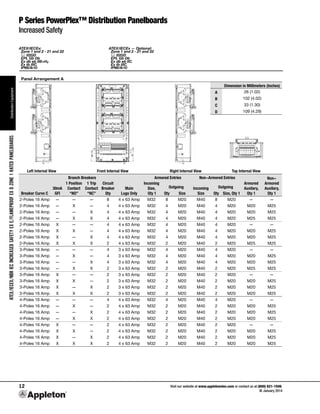 P Series PowerPlex™ Distribution Panelboards | PDF