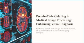 Pseudo-Code-Coloring-in-Medical-Image-Processing-Enhancing-Visual ...