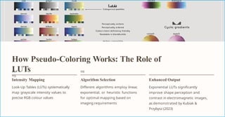 Pseudo-Code-Coloring-in-Medical-Image-Processing-Enhancing-Visual ...