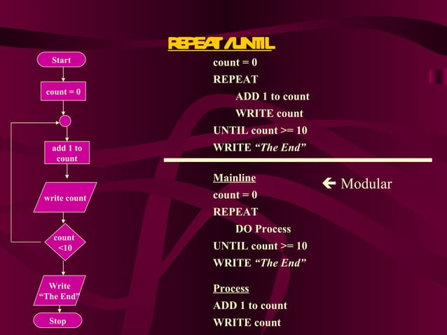 Pseudocode basics | PPT | Programming Languages | Computing