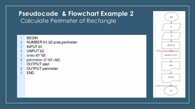 Pseudocode & flowchart examples Pseudocode & flowchart examples