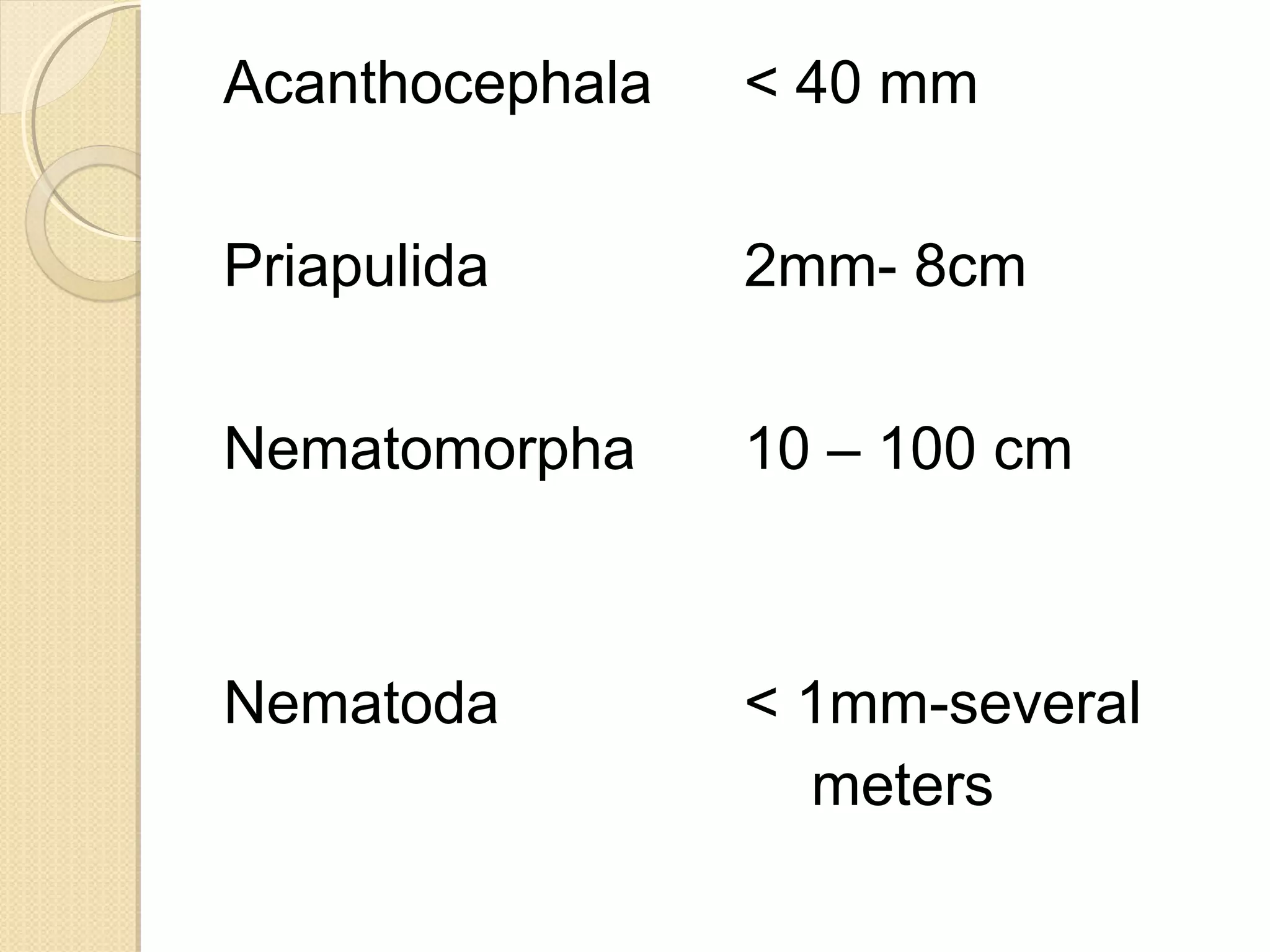 Pseudocoelomate (BS Biology - 2AB) SY: 2012-2013 | PPT
