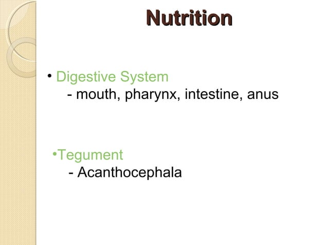 Pseudocoelomate (BS Biology - 2AB) SY: 2012-2013 | PPT | Biological ...
