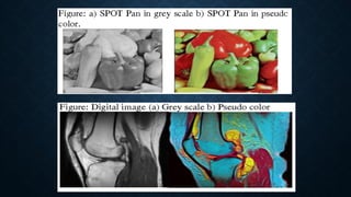 Pseudo color image processing in Digital image processing | PPTX