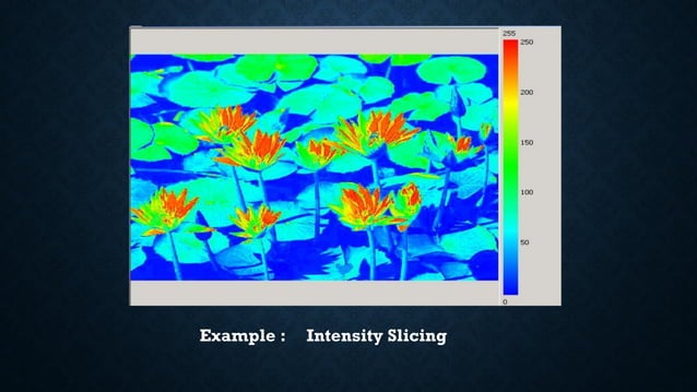 Pseudo color image processing in Digital image processing | PPTX