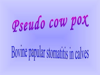 Pseudo cow pox | PPS