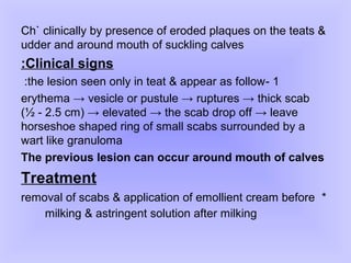 Pseudo cow pox | PPS