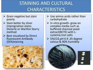 family :Pseudomonadaceae & Legionellaceae | PPTX