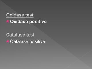 pseudomonas-161203195049.pdf