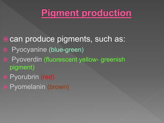 Pseudomonas | PPT | Free Download