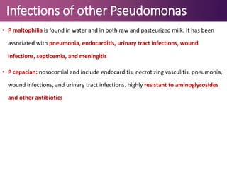 Pseudomonas | PDF
