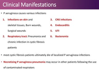 Pseudomonas | PDF