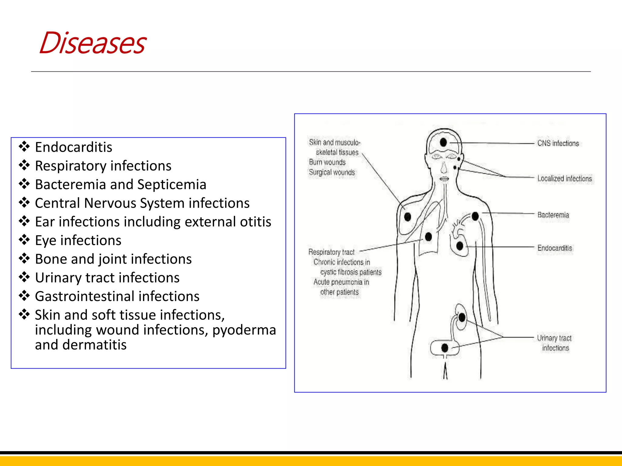 Pseudomonas aeruginosa | PPTX