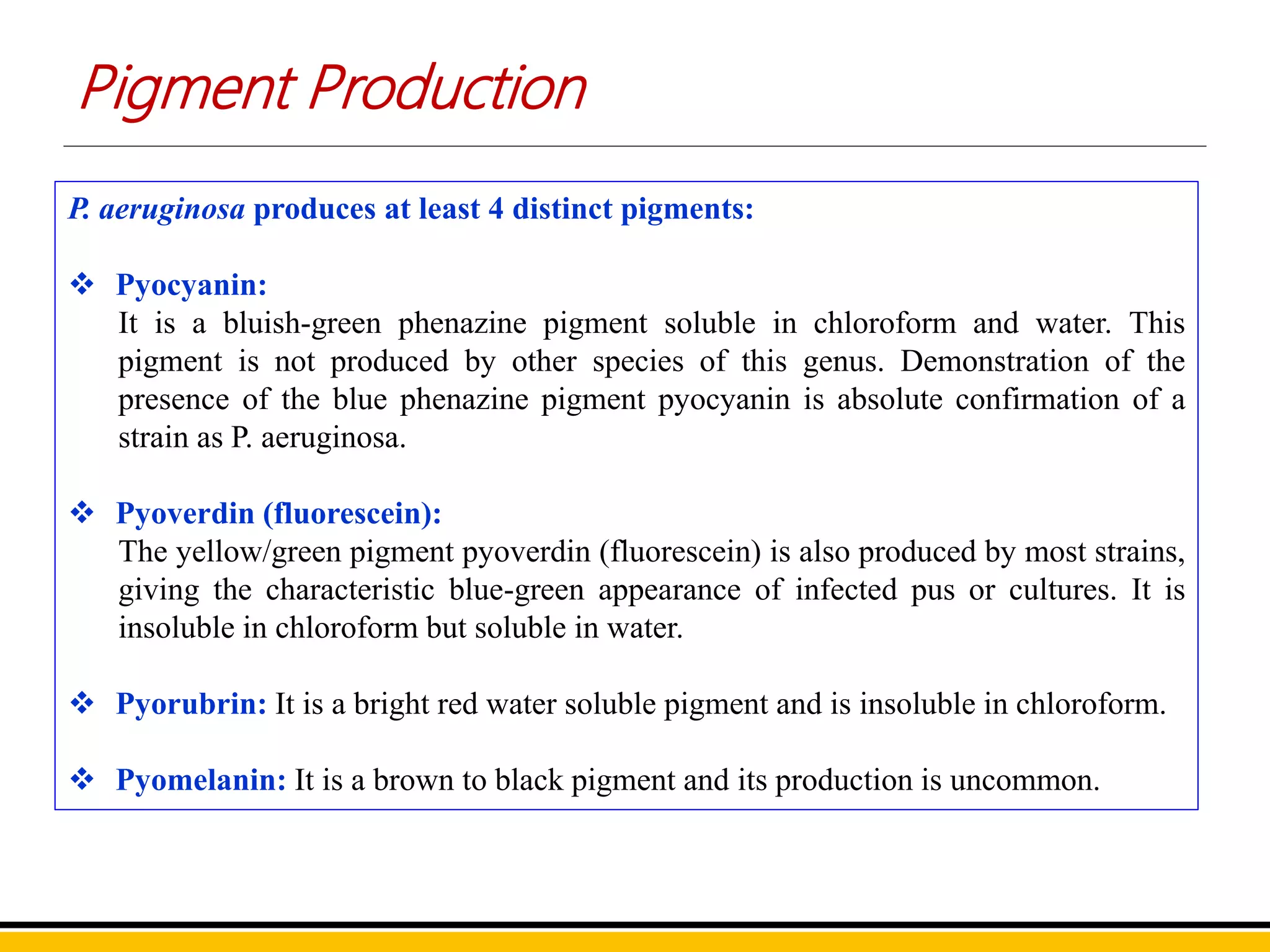 Pseudomonas aeruginosa | PPTX