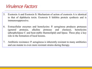 Pseudomonas aeruginosa | PPTX