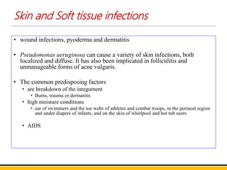 Pseudomonas aeruginosa | PPTX