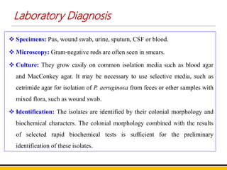 Pseudomonas aeruginosa | PPTX