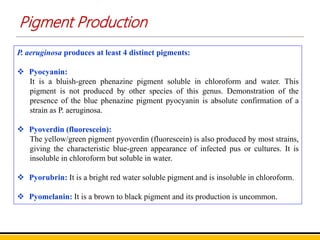 Pseudomonas aeruginosa | PPTX