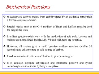 Pseudomonas aeruginosa | PPTX