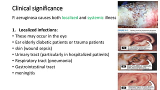 Pseudomonas.pptx | Infectious Diseases | Diseases and Conditions