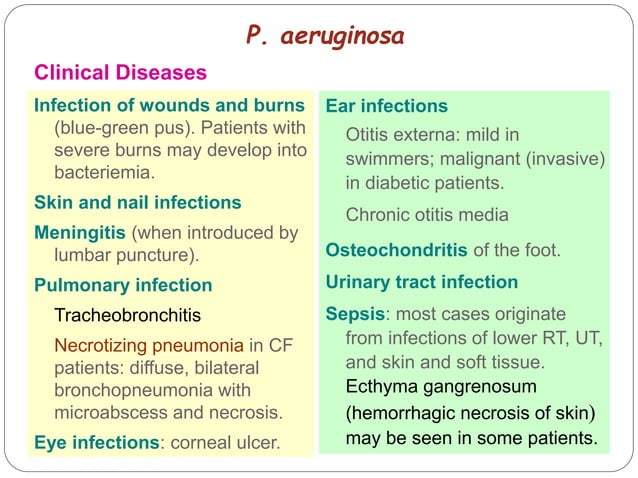Pseudomonas.ppt