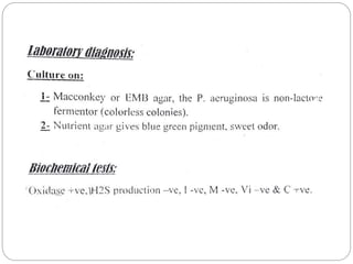 Pseudomonas.ppt