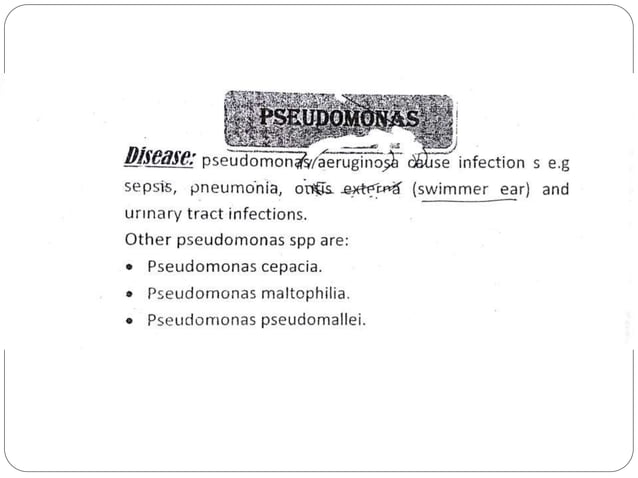Pseudomonas.ppt