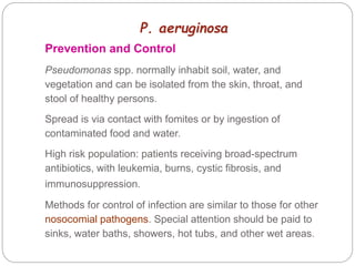 Pseudomonas.ppt