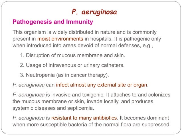 Pseudomonas.ppt