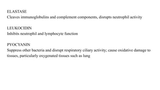 Pseudomonas aeruginosa gram negative bacilli | PPT | Free Download