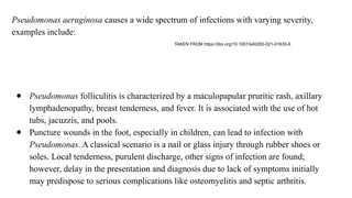Pseudomonas aeruginosa gram negative bacilli | PPT | Free Download