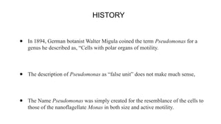 Pseudomonas aeruginosa gram negative bacilli | PPT | Free Download