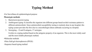 Pseudomonas aeruginosa gram negative bacilli | PPT | Free Download