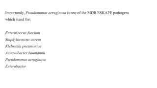 Pseudomonas aeruginosa gram negative bacilli | PPT | Free Download