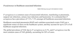 Pseudomonas aeruginosa gram negative bacilli | PPT | Free Download