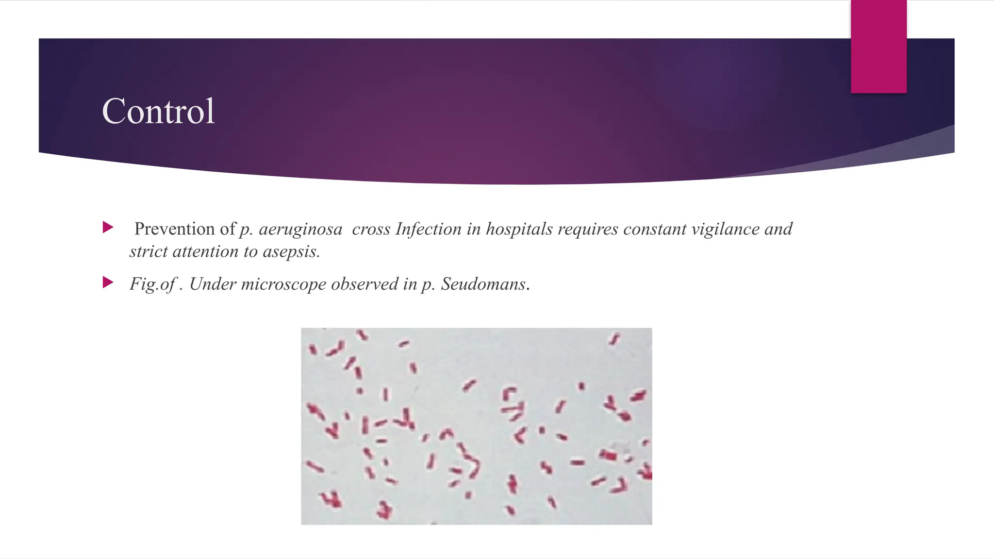 pseudomonas aeruginosa - medical bacteriology | PPT