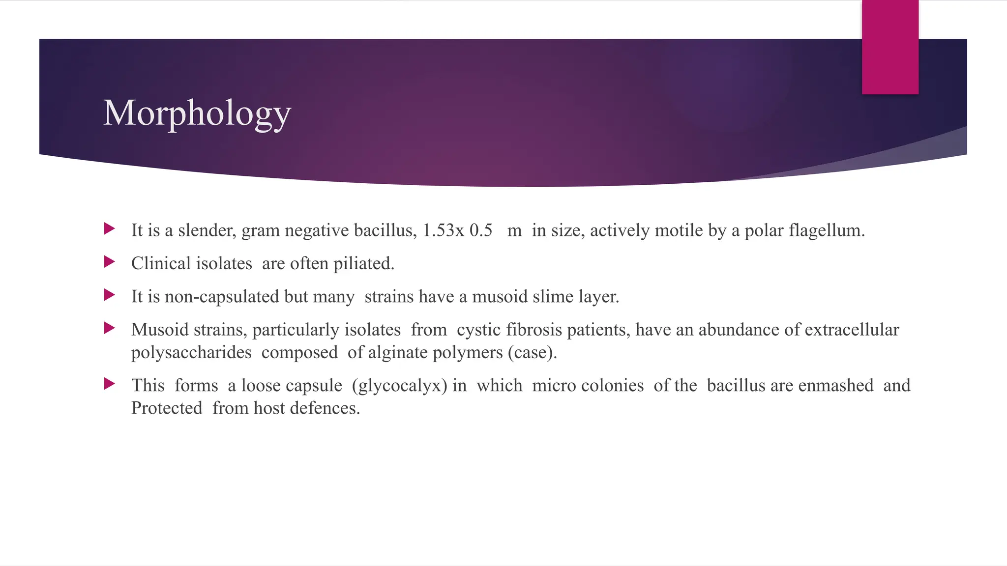 pseudomonas aeruginosa - medical bacteriology | PPT
