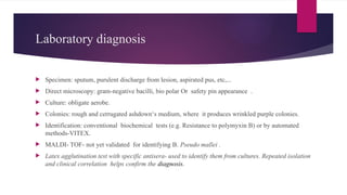 pseudomonas aeruginosa - medical bacteriology | PPT
