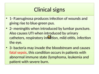 pseudomonas 2015.pptx12345678909trty7uio987 | PPT