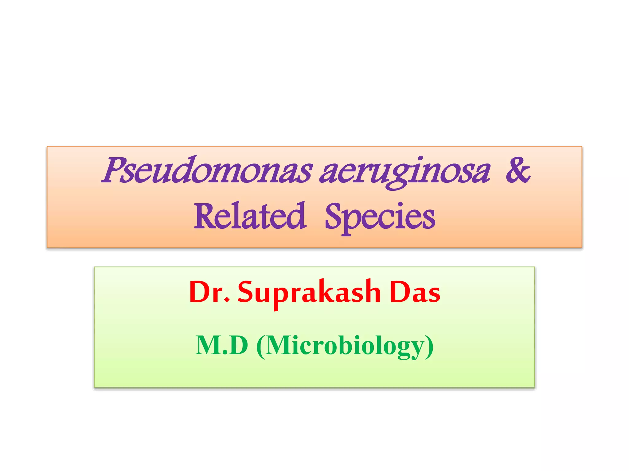 Pseudomonas aeruginosa | PPTX