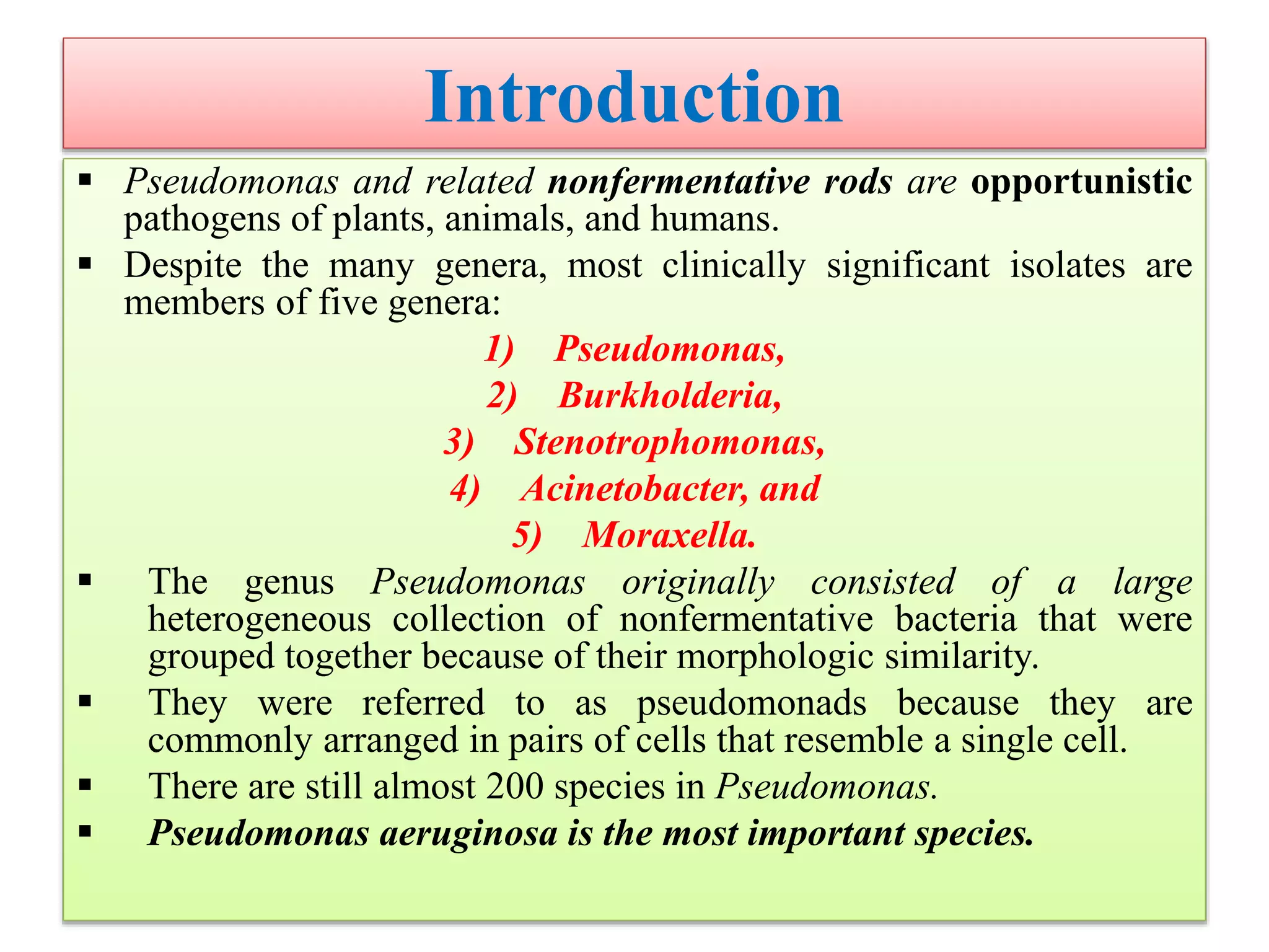 Pseudomonas aeruginosa | PPTX