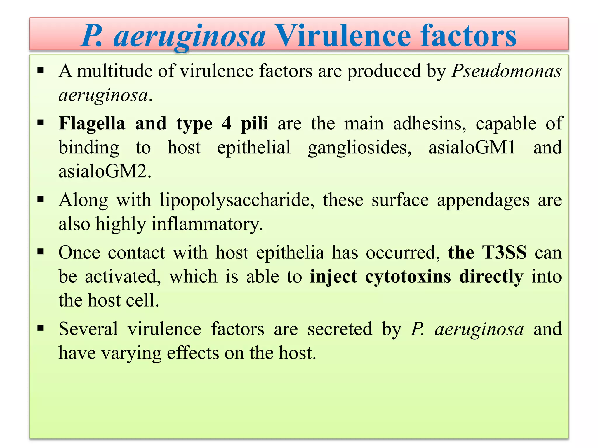 Pseudomonas aeruginosa | PPTX