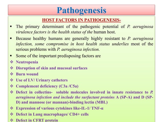 Pseudomonas aeruginosa | PPTX