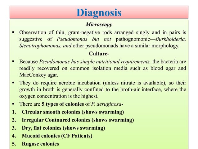 Pseudomonas aeruginosa | PPTX