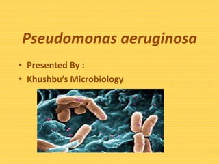 Pseudomonas aeruginosa.. | PPTX