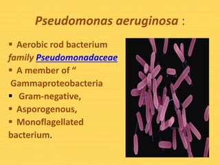 Pseudomonas aeruginosa.. | PPTX