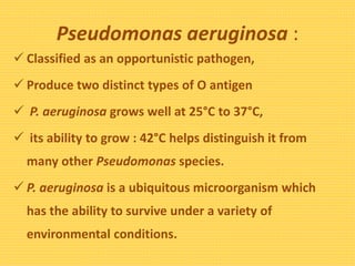 Pseudomonas aeruginosa.. | PPTX
